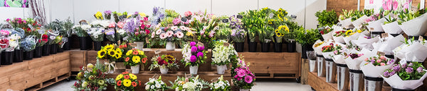 Market Flowers - Brisbane | Northside Flower Market