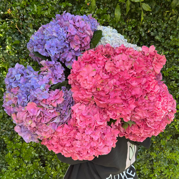 FARM FRESH FLOWERS - Northside Flower Market