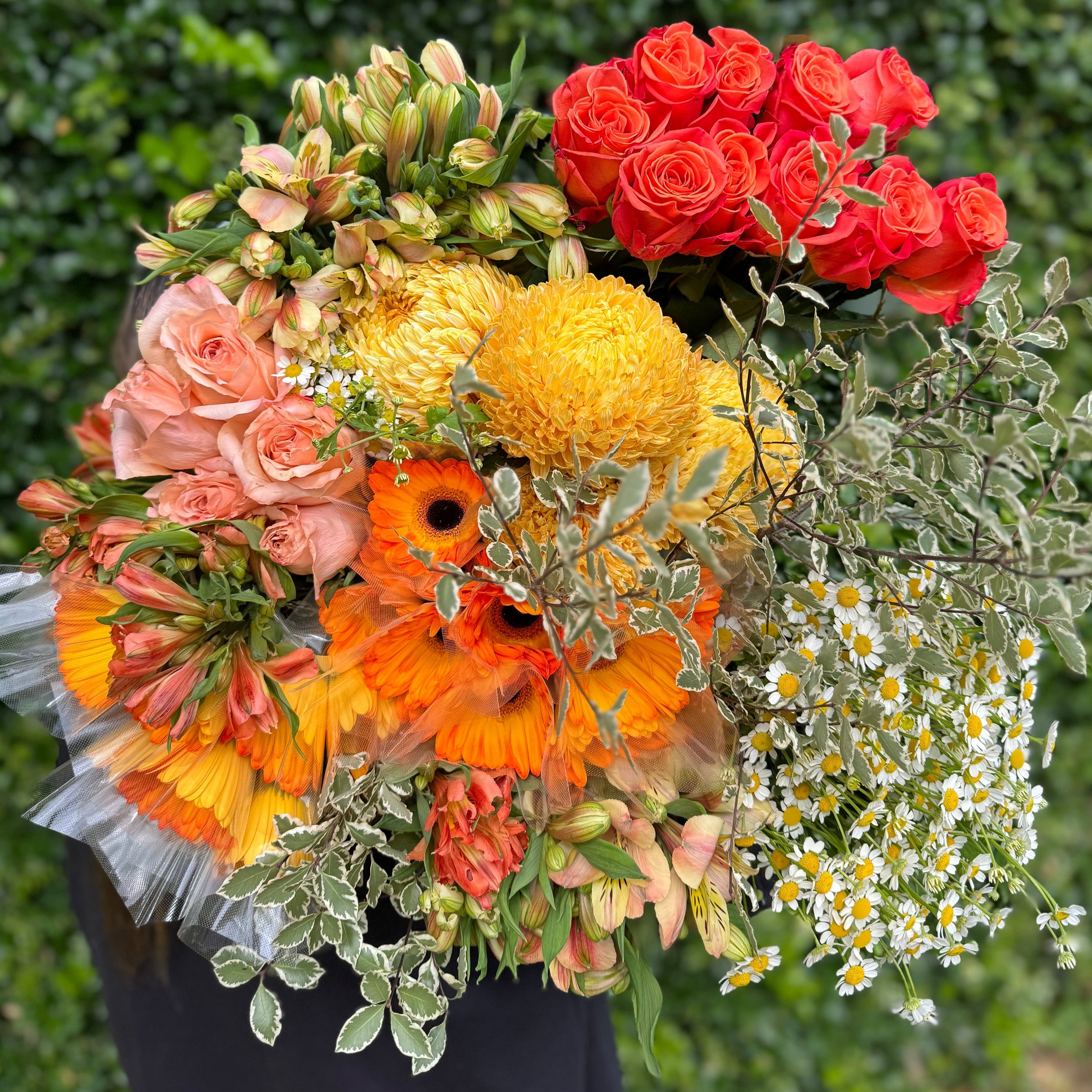 Market Flowers - Brisbane | Northside Flower Market