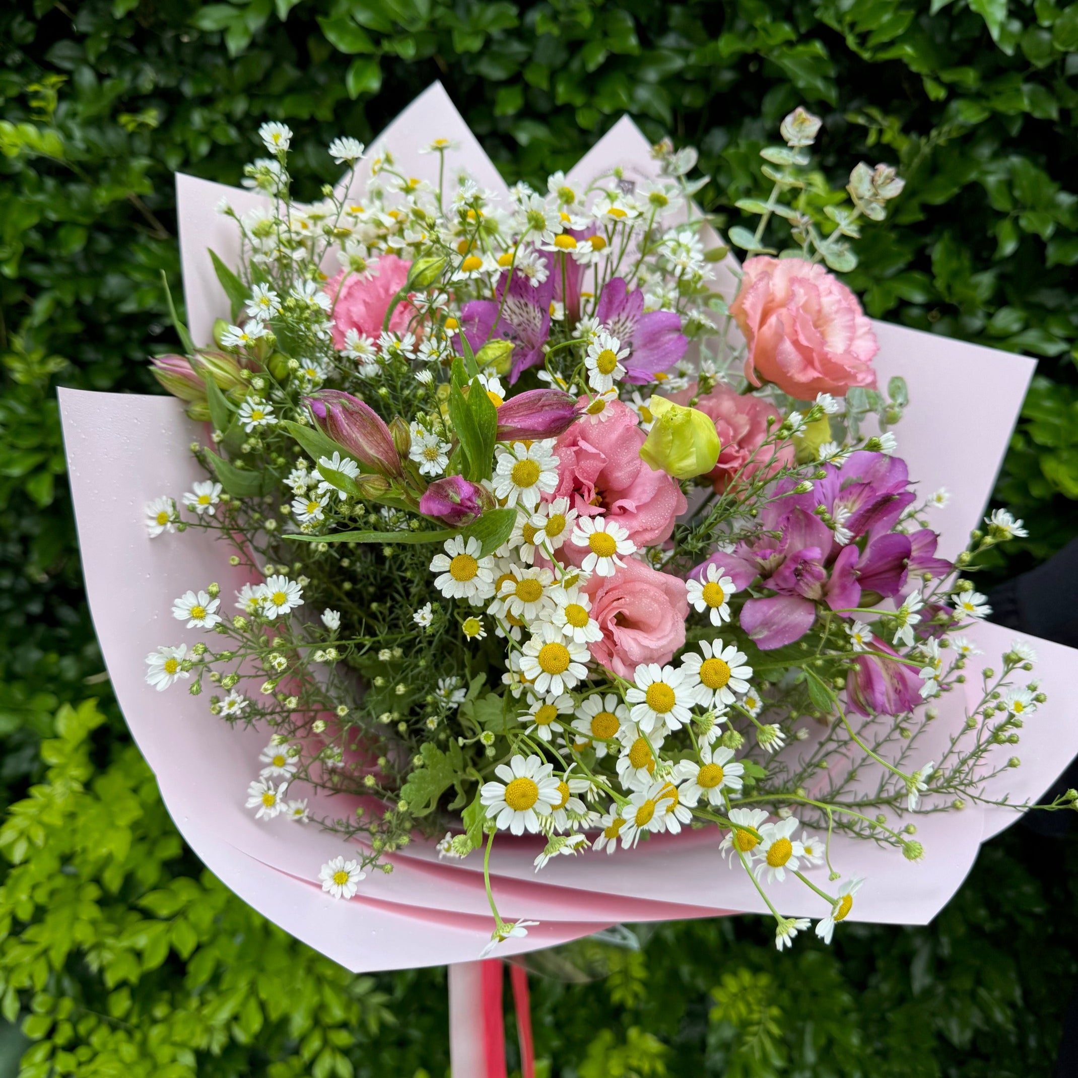 Market Flowers - Brisbane | Northside Flower Market
