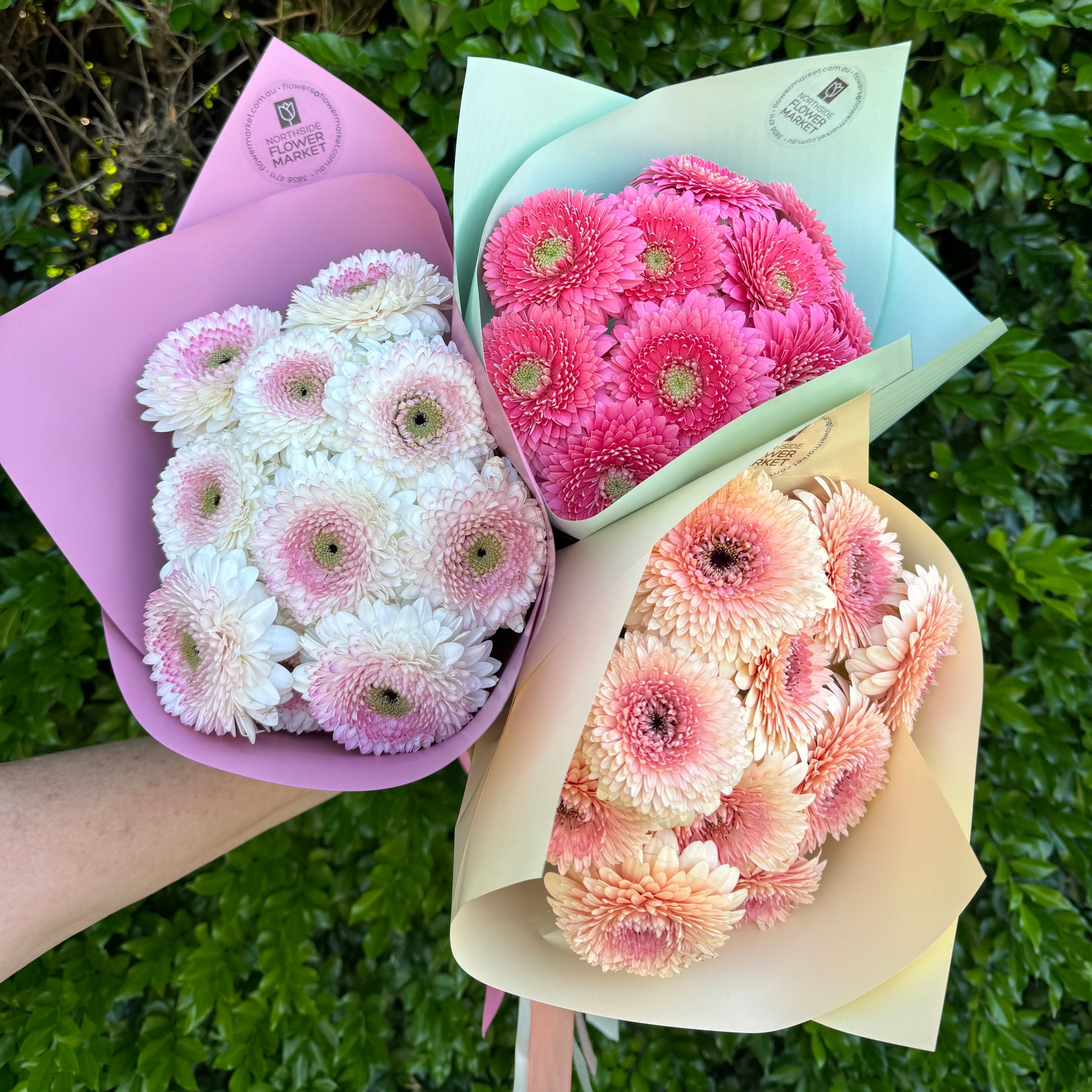 Market Flowers - Brisbane | Northside Flower Market