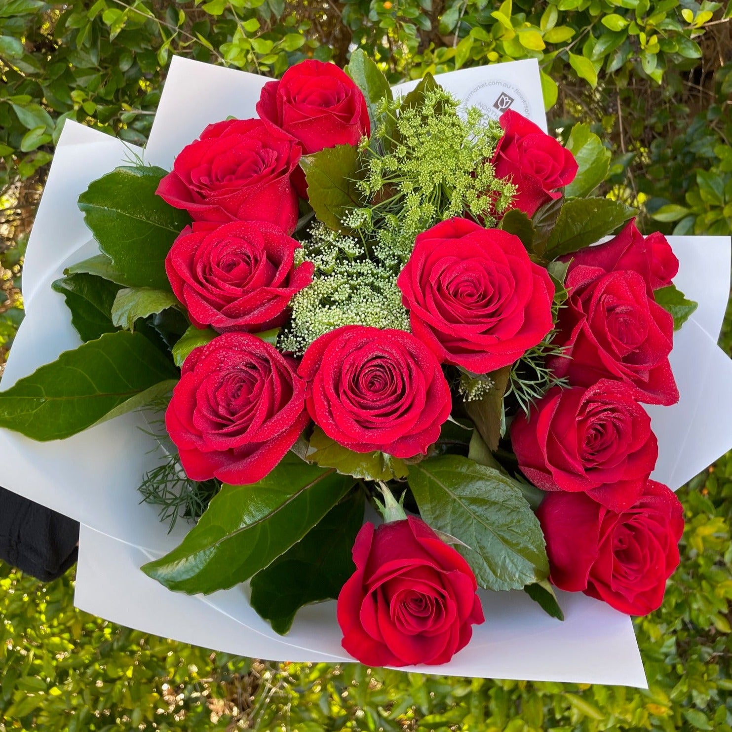 DOZEN ROSE BOUQUET - Northside Flower Market