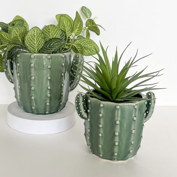 CACTUS PLANTER GREEN 20cm - Northside Flower Market