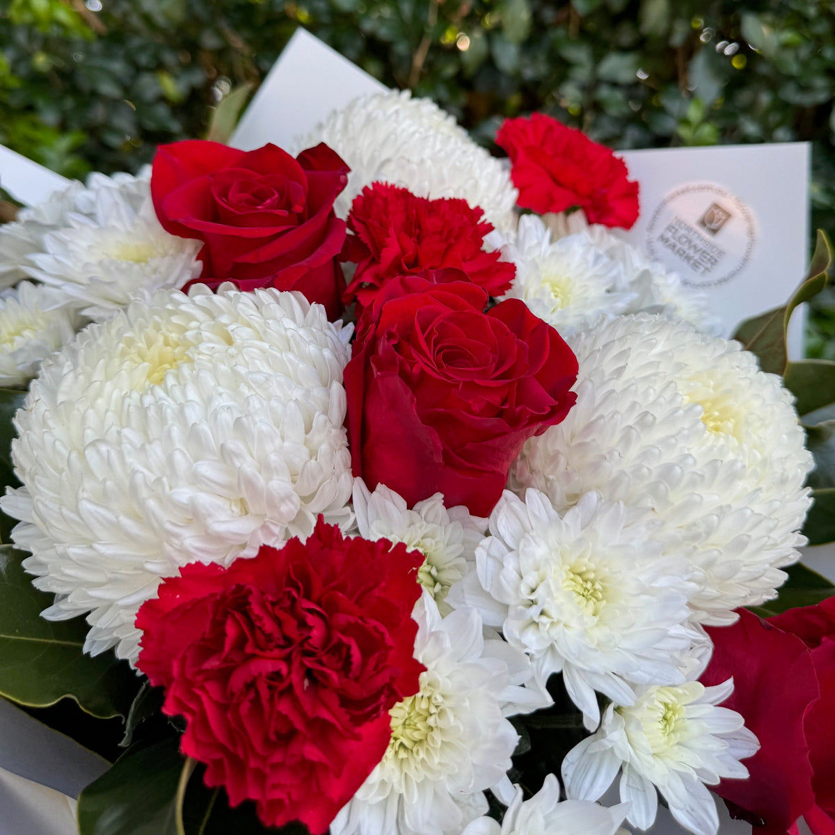 POM POSY MEDIUM - CHRISTMAS - Northside Flower Market