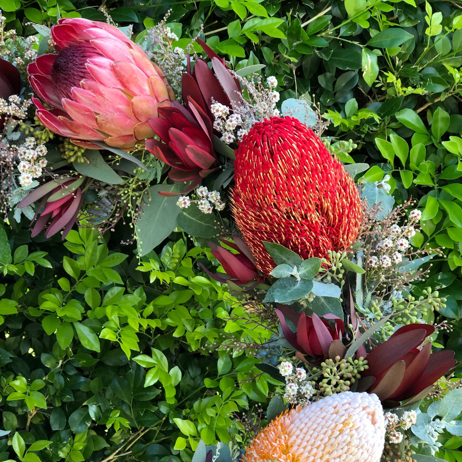 LARGE NATIVE WREATH | Northside Flower Market Brisbane