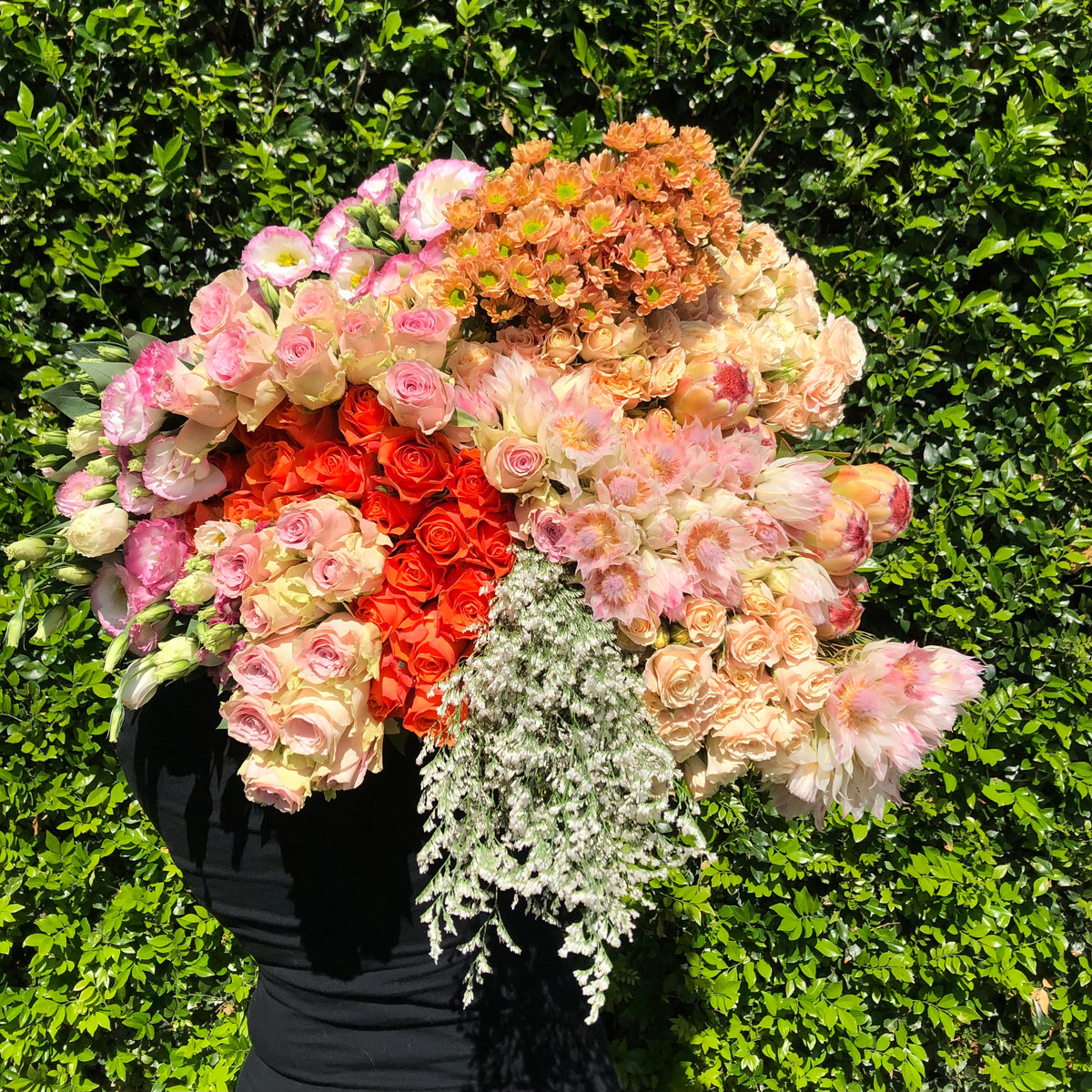 Market Flowers - Brisbane | Northside Flower Market