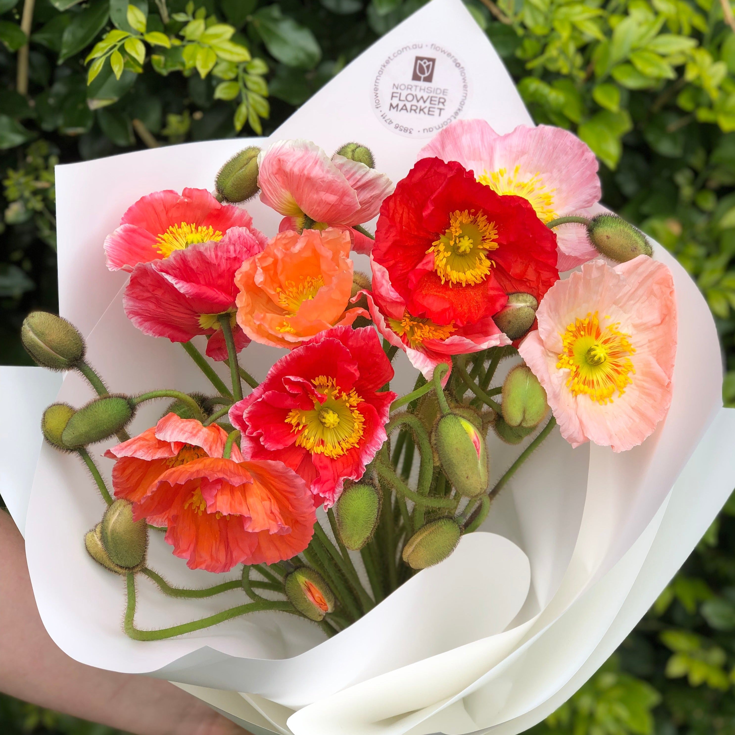 Market Flowers - Brisbane | Northside Flower Market